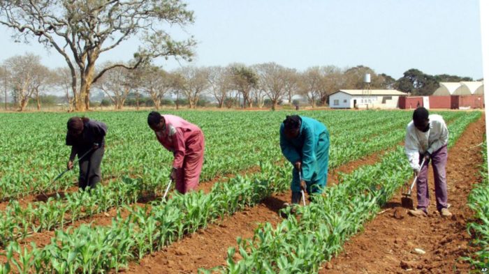 Climate Change: Zambia raises over $84 million from Green Climate Fund ...